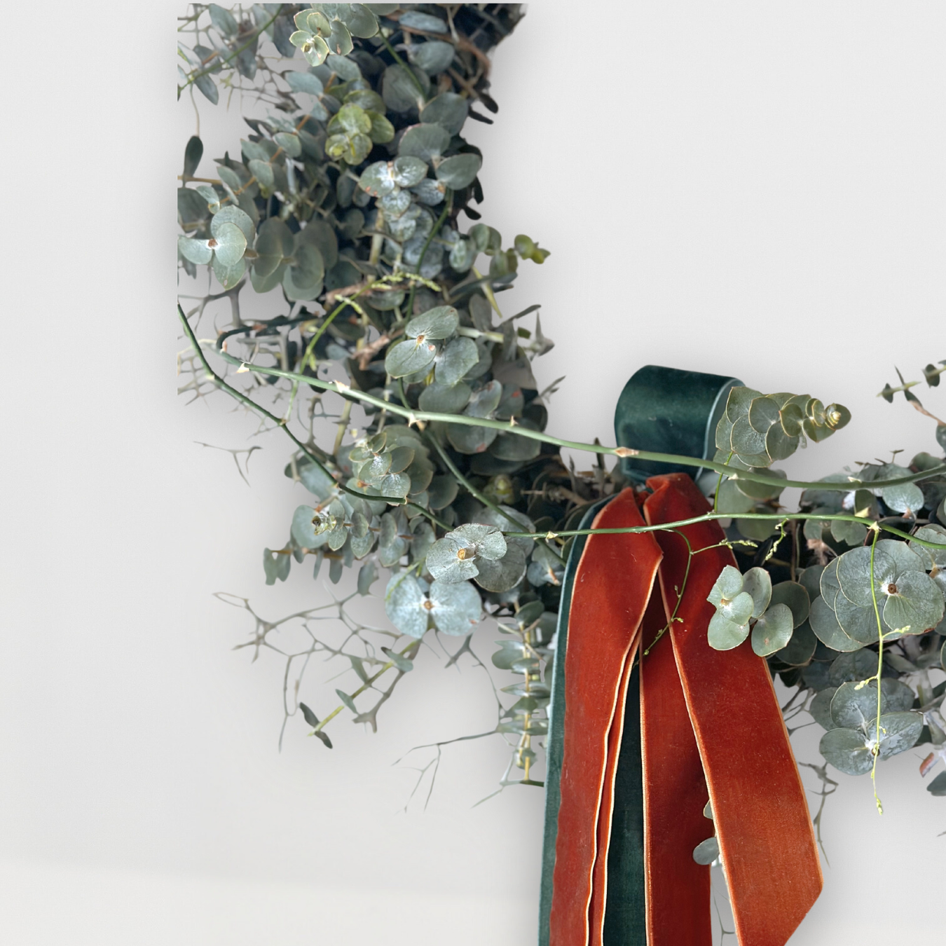 Adelaide Flower House – Same Day Flower Delivery